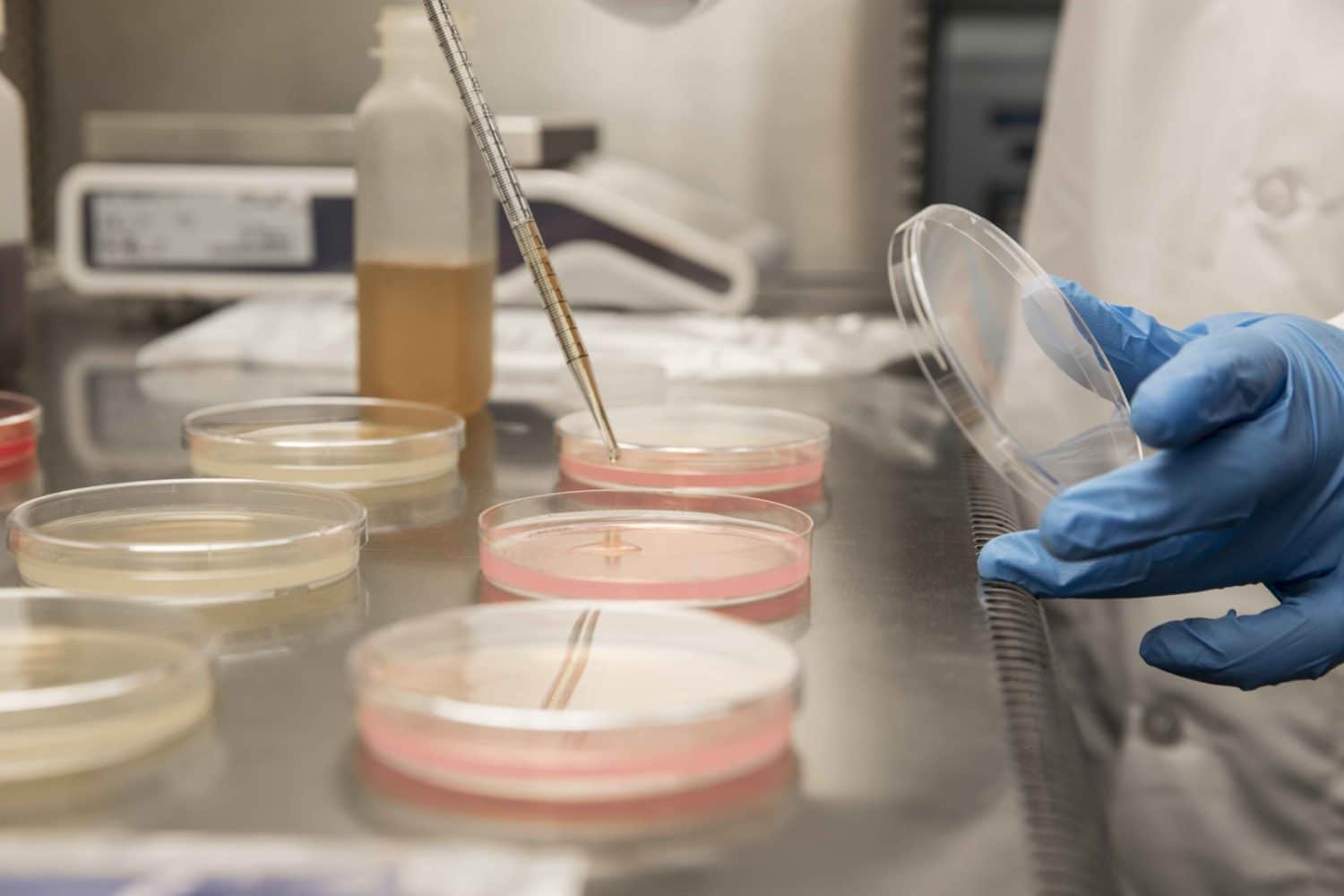 What is gut health, what are probiotics, and why should I care?